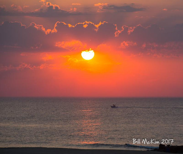 Think summer - Bill McKim Photography -Jersey Shore whale watch tours